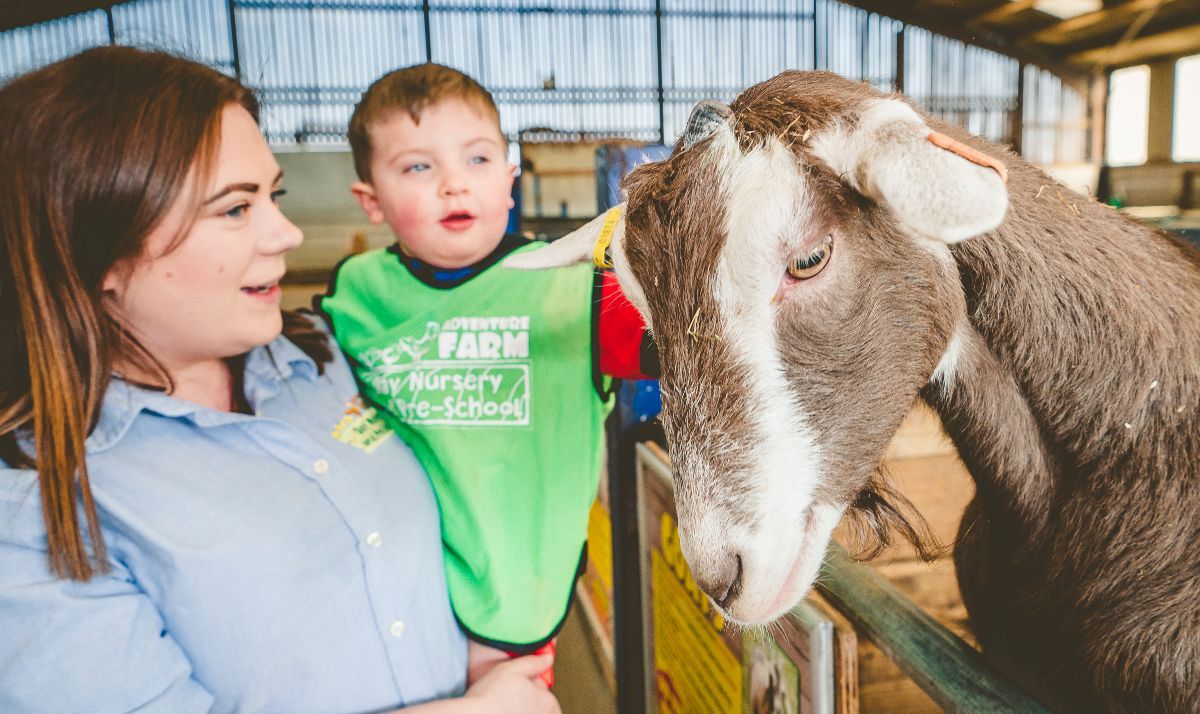 Nursery Career | Adventure Farm Day Nursery