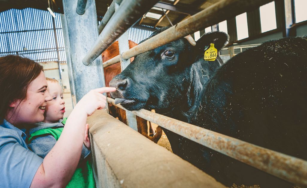 Adventure Farm Day Nursery